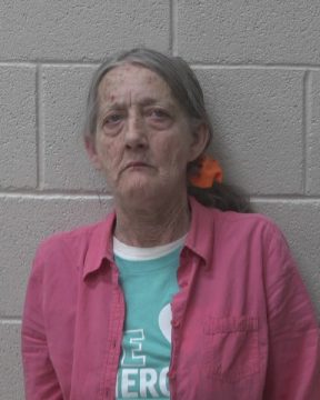 70-Year-Old Woman Charged With Assaulting Alexander County Deputy