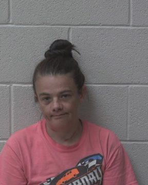 Alexander County Deputies Nab Stony Point Duo This Morning