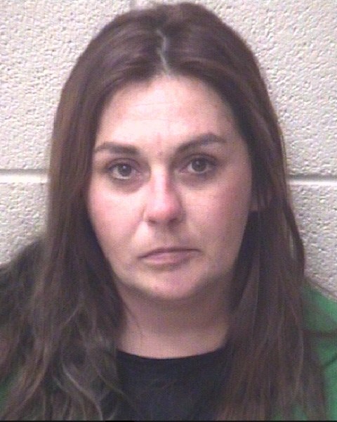 Taylorsville Woman Facing More Than Eighty Felony Charges