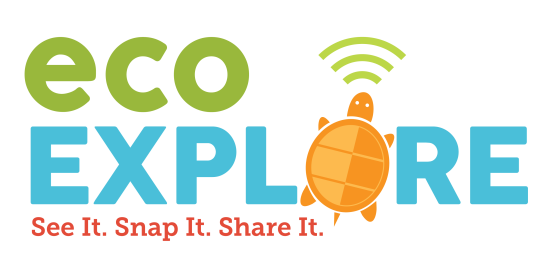 Alexander County’s Rocky Face Park Named ecoExplore HotSpot